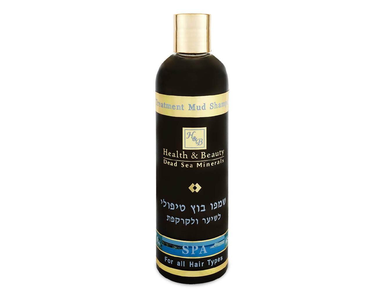Black Mud Shampoo | Dead Sea Shop